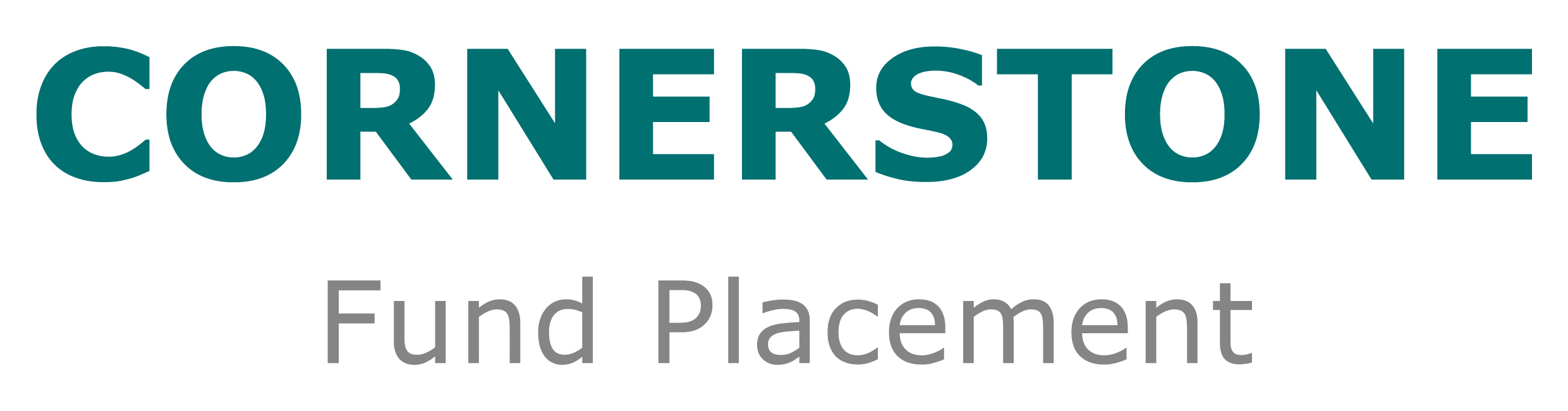 Cornerstone Fund Placement Limited - Our team